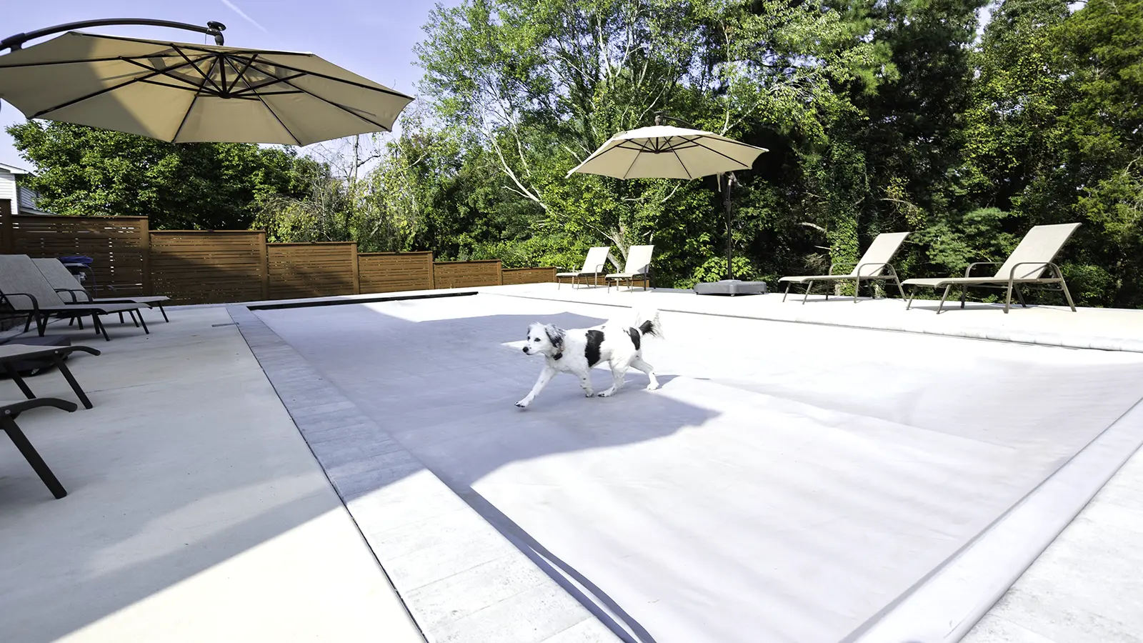 Certified Automatic Pool Safety Covers - Integra Pool Covers